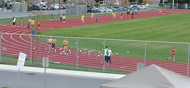 Home - Module Vanier